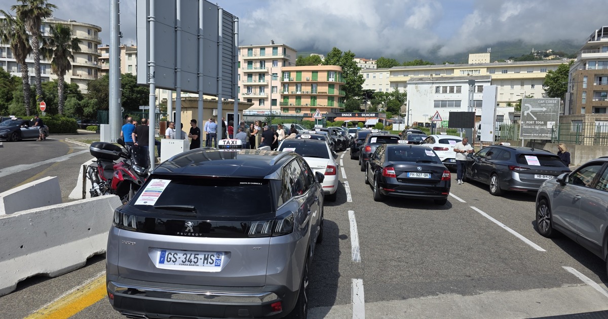 Bastia : les taxis de Haute-Corse mobilisés contre la nouvelle convention nationale entre les ...