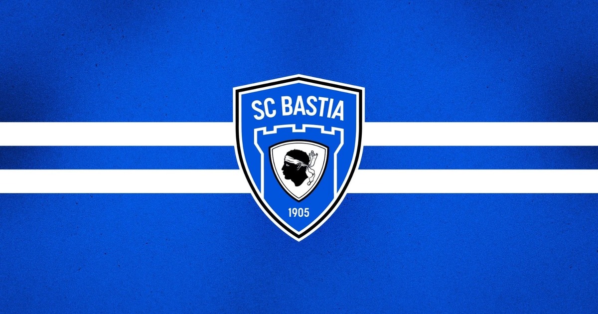 Football (Ligue 2) - L'un des représentants des Socios démissionne du ...