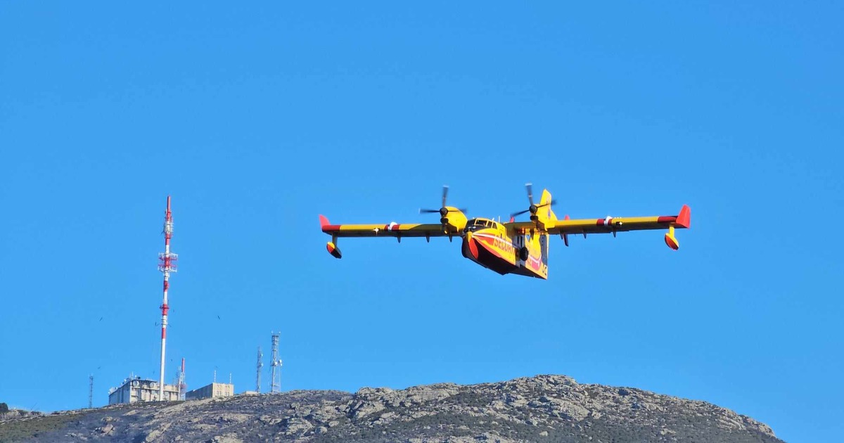 Incendies : le message du président de la Communauté de Communes du Cap ...