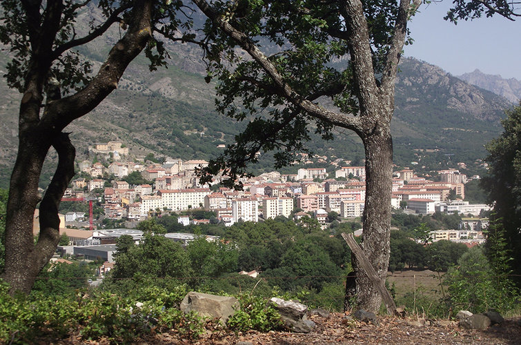 La Ville de Corte devient Ville Ambassadrice du Don d’Organes