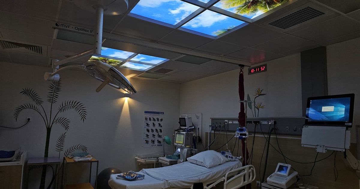 Retour sur le regroupement des maternités de l'hôpital de Bastia et de ...