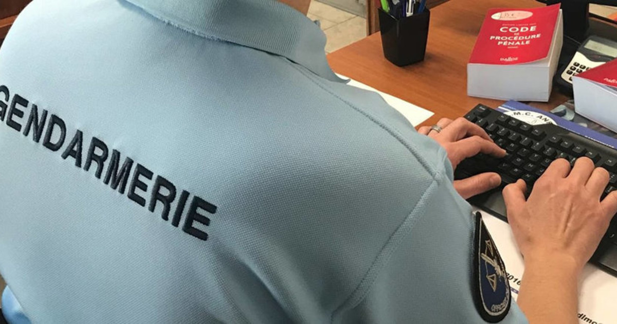 Vaches tuées et découpées dans le Fium'Orbu : plusieurs personnes ...